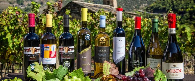PREMIUM WINE TOURISM - Servicios para Seniors en Andorra Bons plans ...